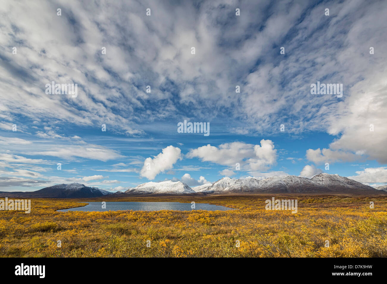 USA, Alaska, View of landscape in autumn Stock Photo - Alamy