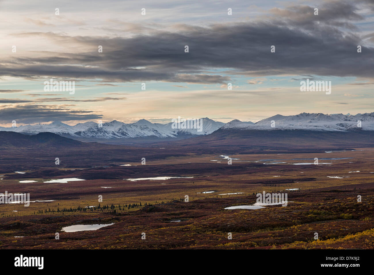 USA, Alaska, View of landscape in autumn, Alaska Range in background ...
