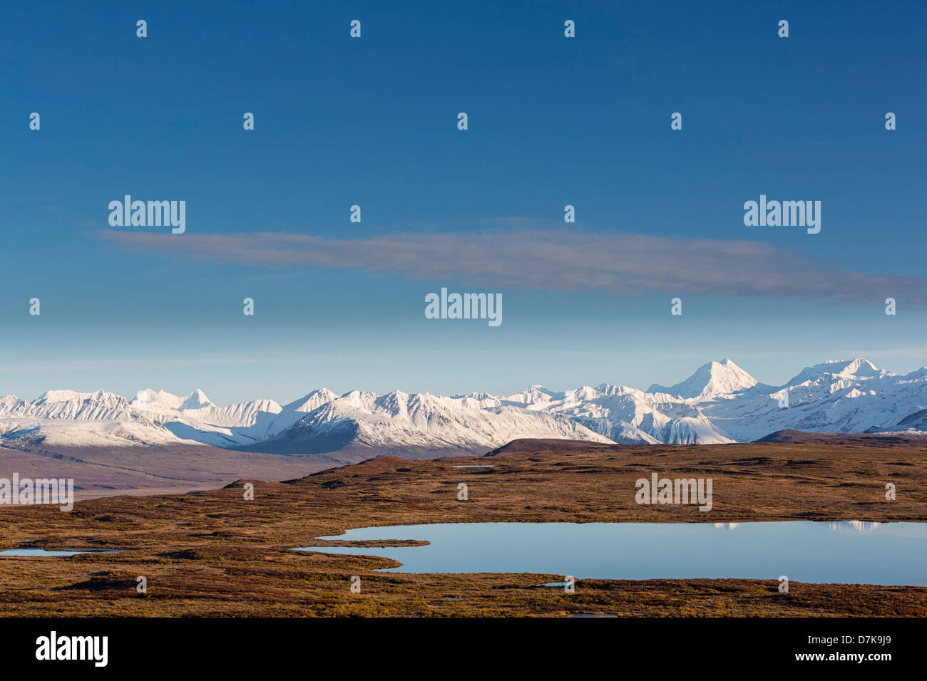 USA, Alaska, View of landscape in autumn, Alaska Range in background ...