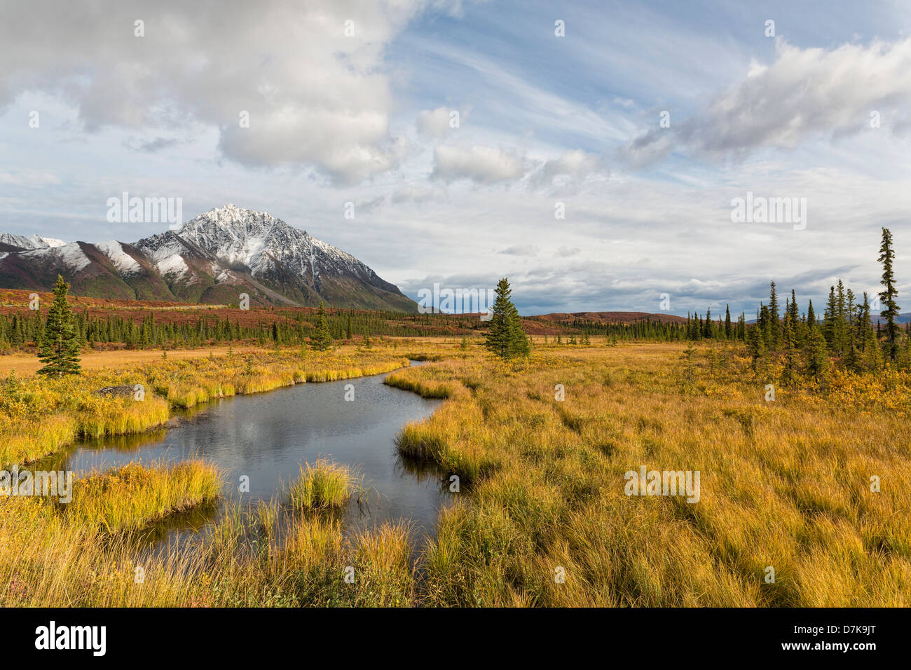 USA, Alaska, View of landscape in autumn, Alaska Range in background ...