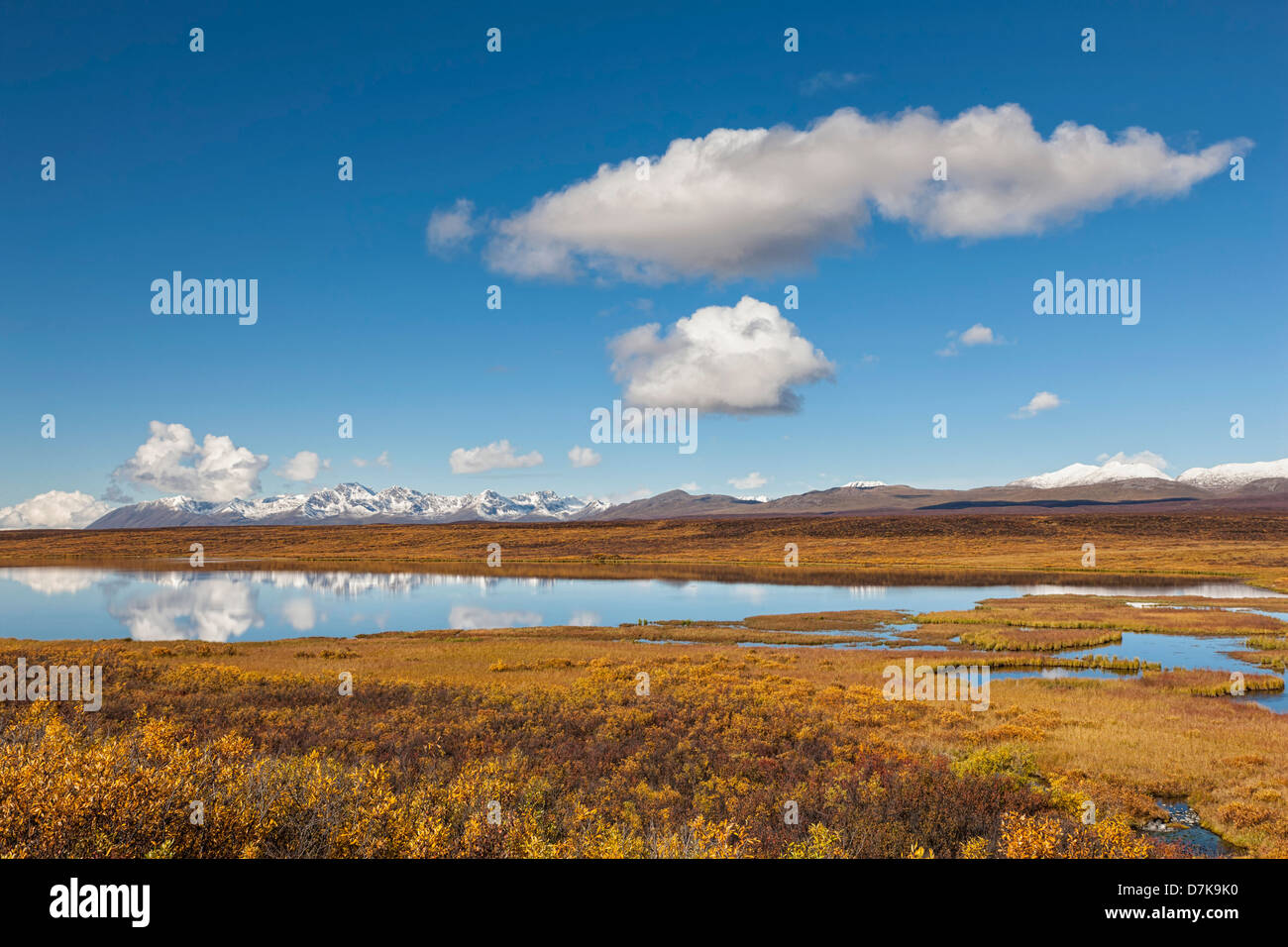 USA, Alaska, View of landscape in autumn, Alaska Range in background ...