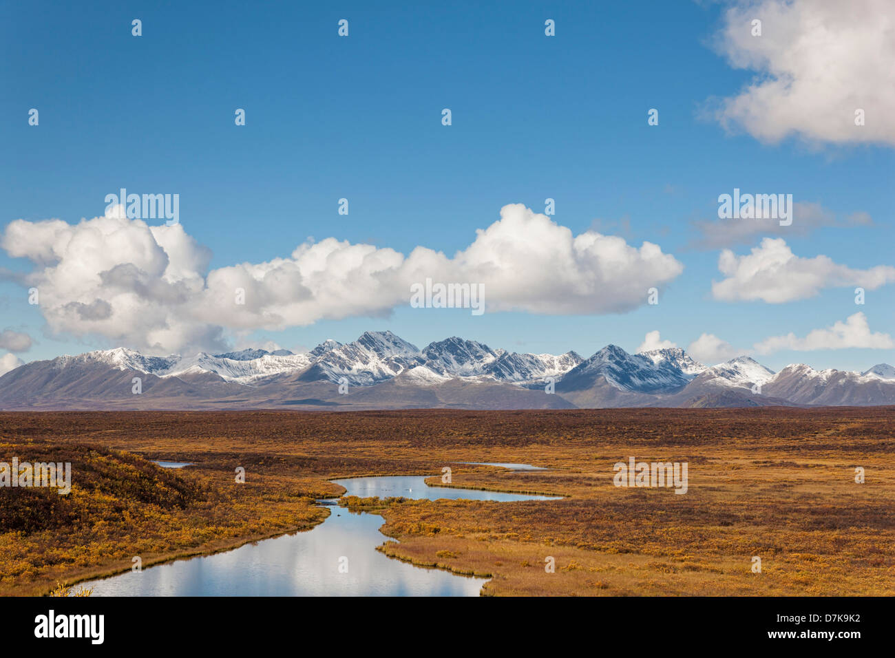 USA, Alaska, View of landscape in autumn, Alaska Range in background ...