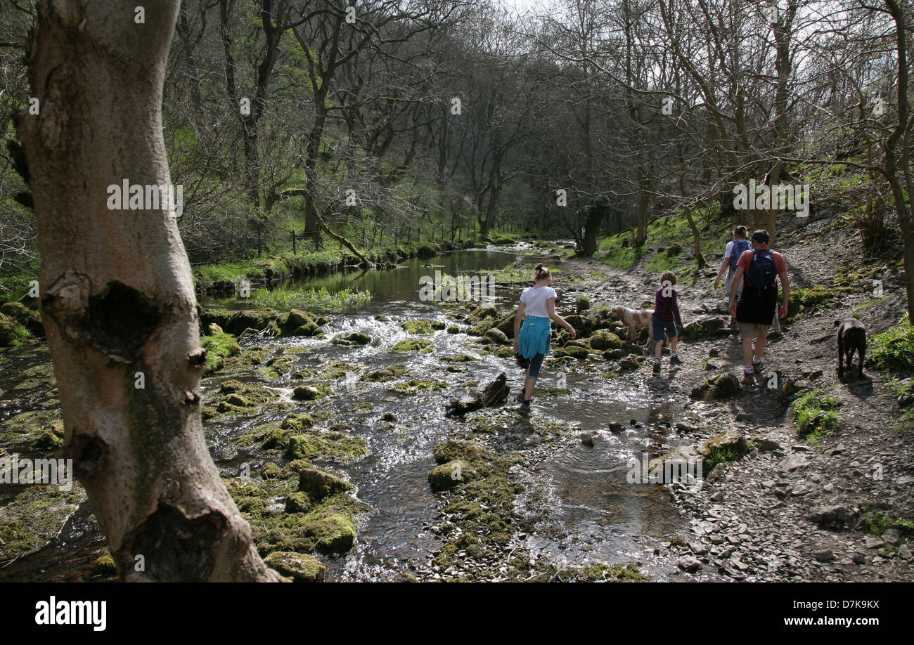 Lathkill Dale Derbyshire Stock Photo - Alamy