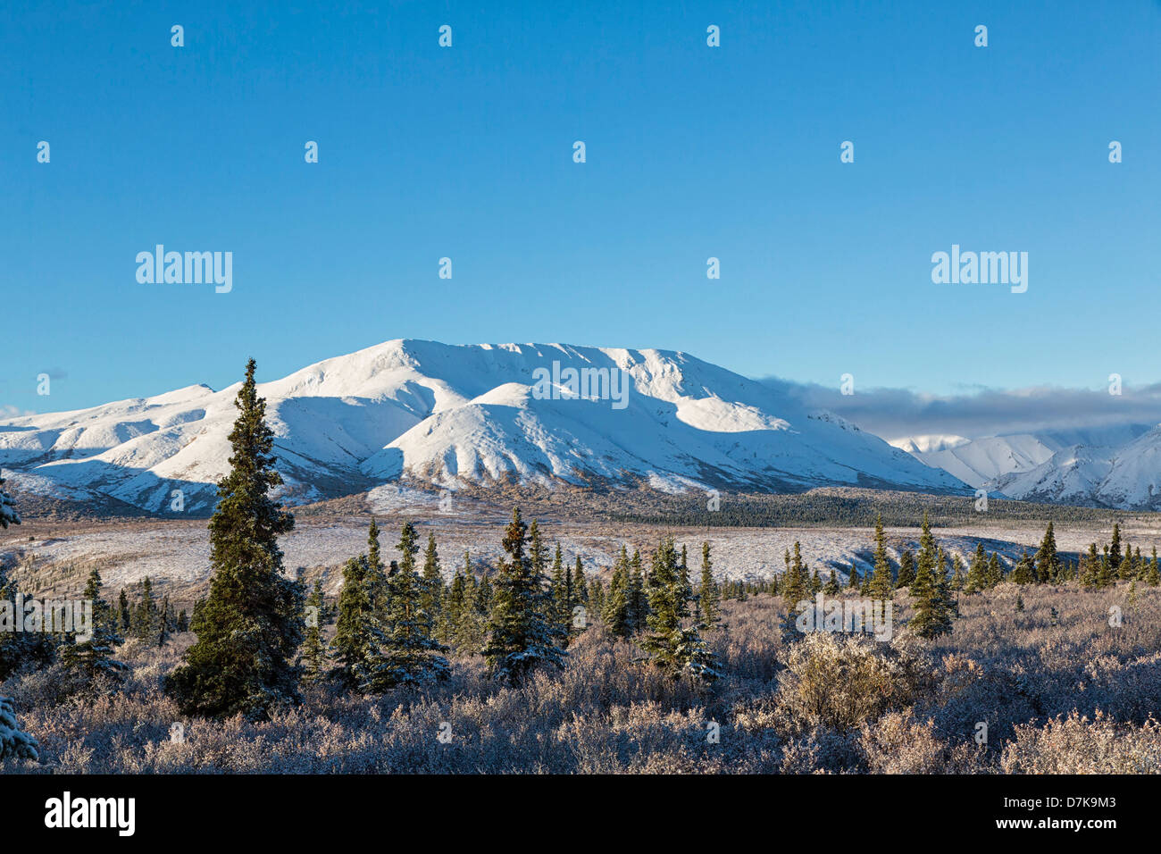 USA, Alaska, View of Denali National Park Stock Photo - Alamy