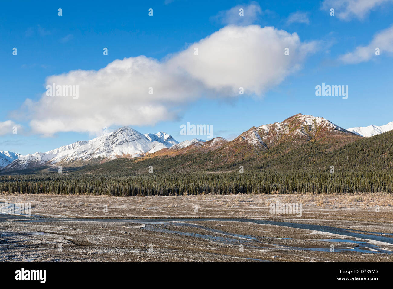 Primrose ridge denali national park hi-res stock photography and images ...