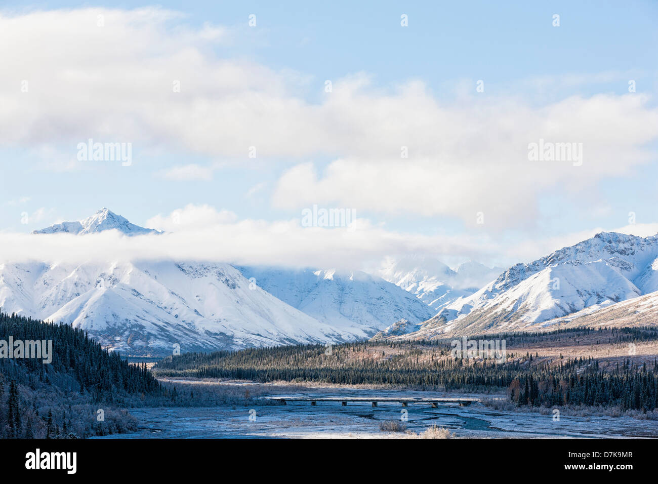 Primrose ridge denali national park hi-res stock photography and images ...