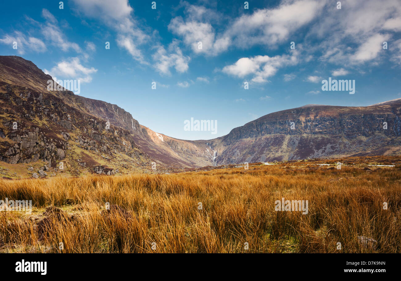Old red sandstone ireland hi-res stock photography and images - Alamy