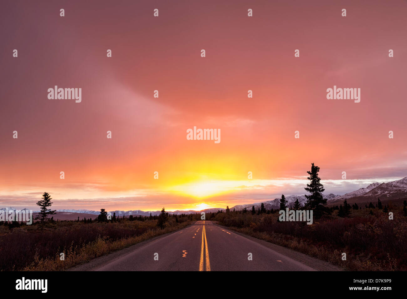 USA, Alaska, Denali park road at sunset Stock Photo - Alamy
