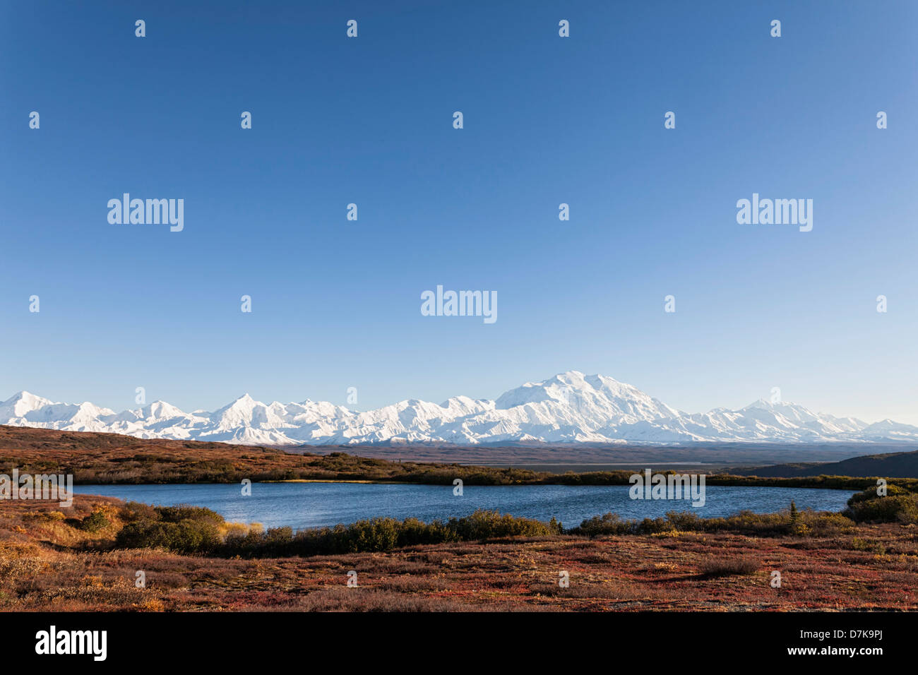 USA, Alaska, View of Mount Mckinley and reflection of pond at Denali ...