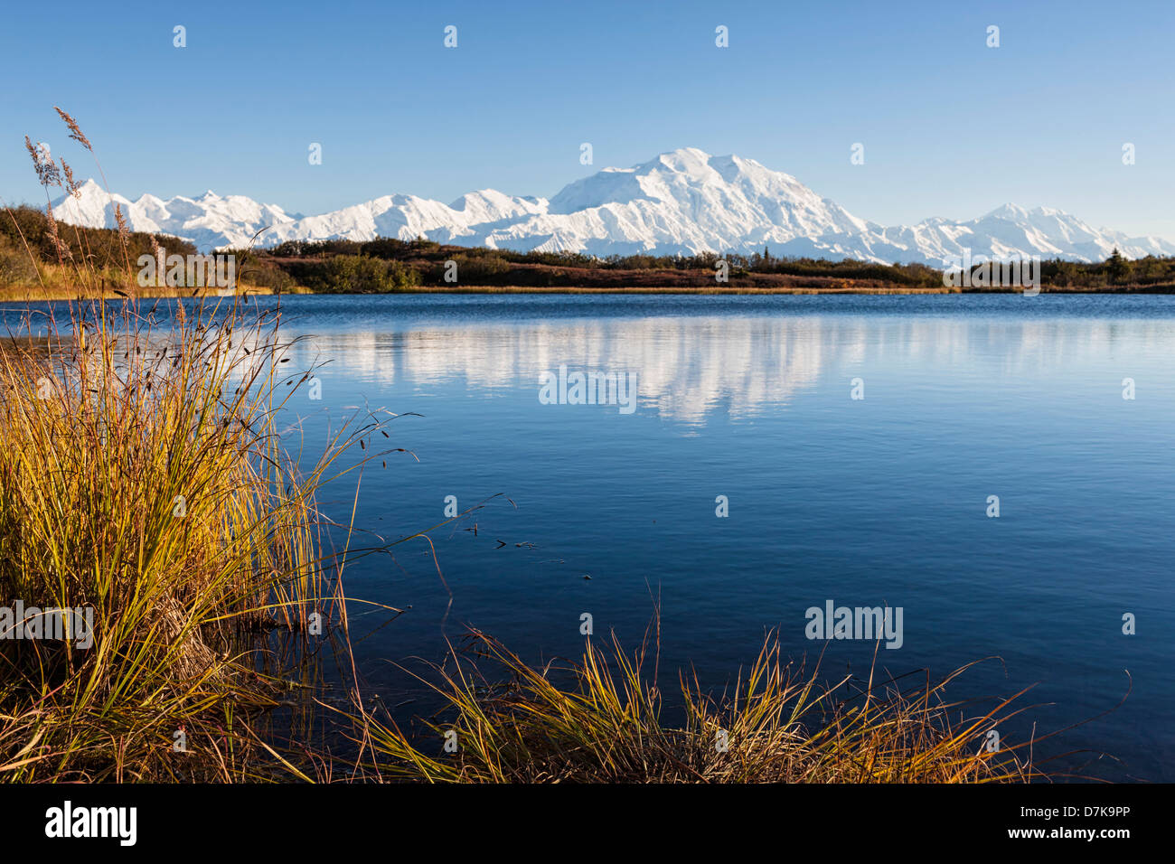 USA, Alaska, View of Mount Mckinley and reflection of pond at Denali ...