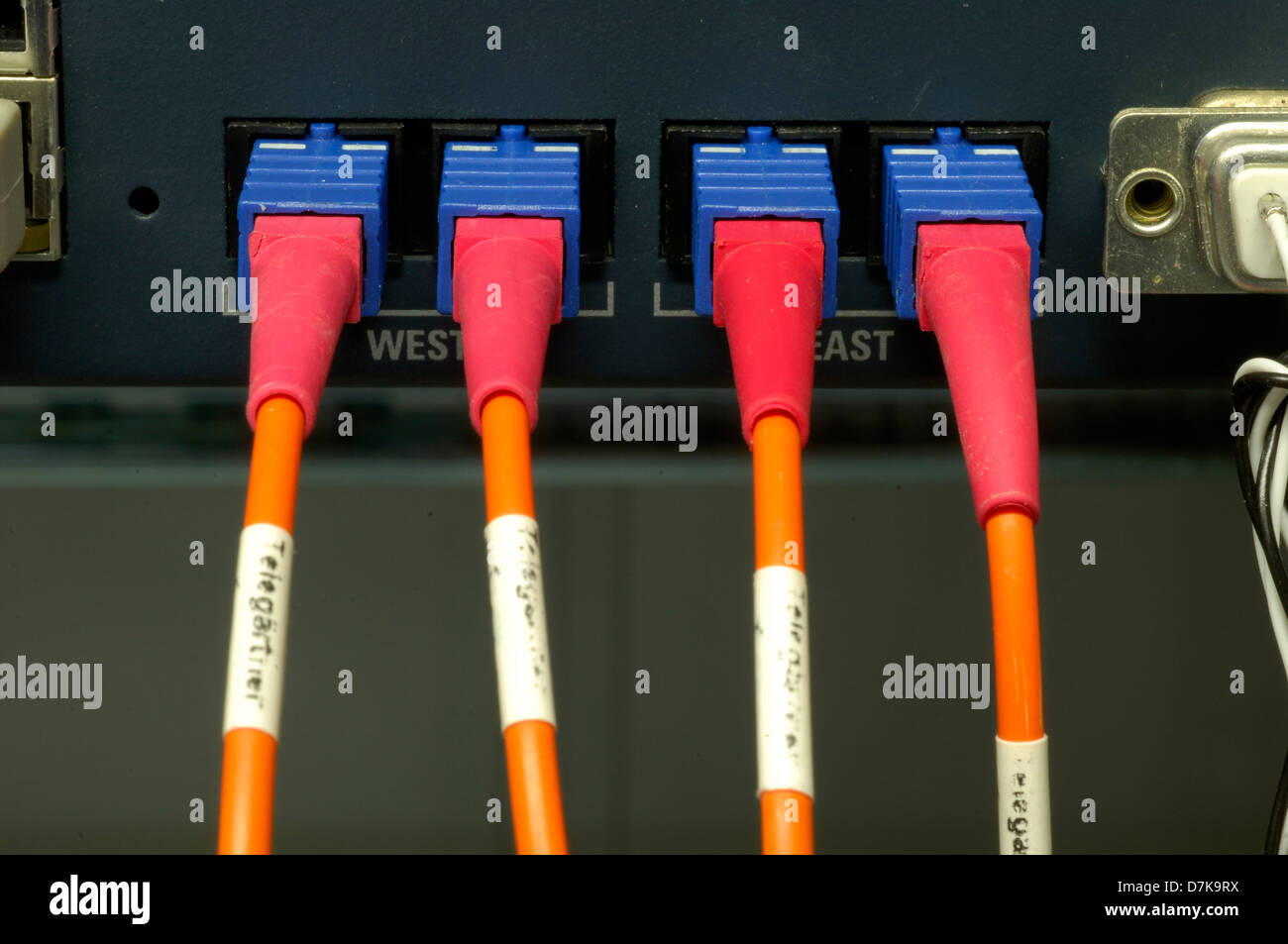 Networking, servers, electronics, cable, plug, socket Stock Photo - Alamy