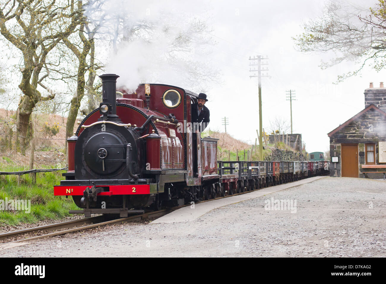 A steam locomotive pulling a freight train of the Ffestiniog Railway at ...