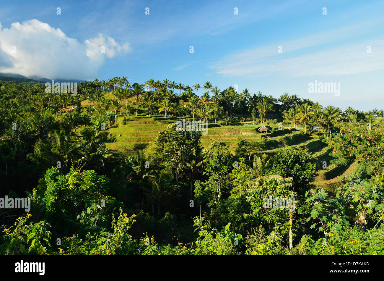 Asia, Indonesia, Rural Landscape near Sapit Stock Photo - Alamy