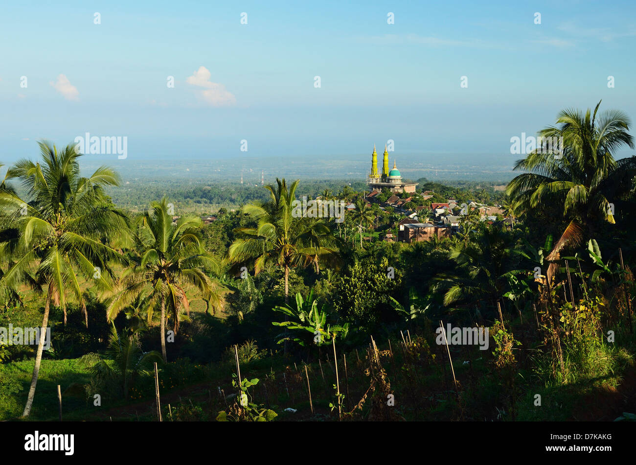 Sapit hi-res stock photography and images - Alamy