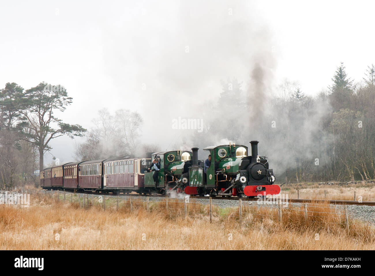 A steam locomotive pulling a passenger train of the Ffestiniog Railway on the Welsh Highland ...