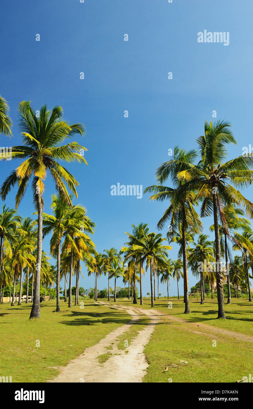 Kuta beach path hi-res stock photography and images - Alamy