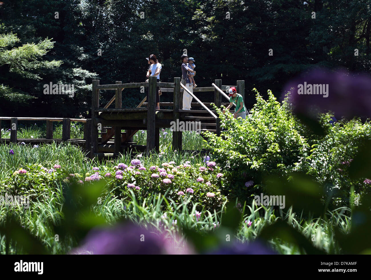 The sumer hi-res stock photography and images - Alamy