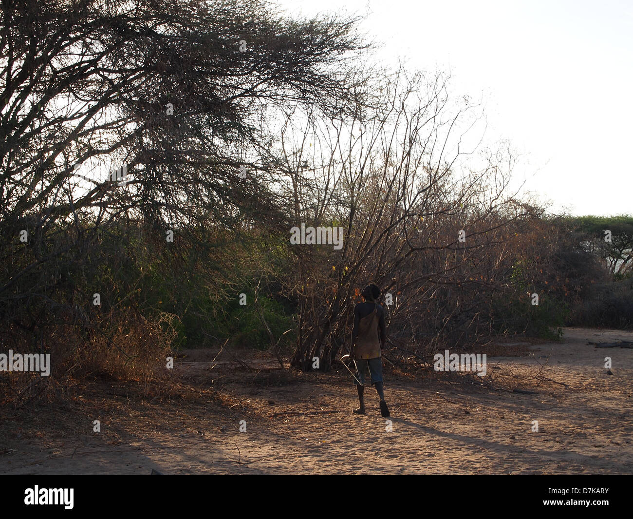 Hanzabe hunter in the morning light, Tanzania, Africa Stock Photo - Alamy