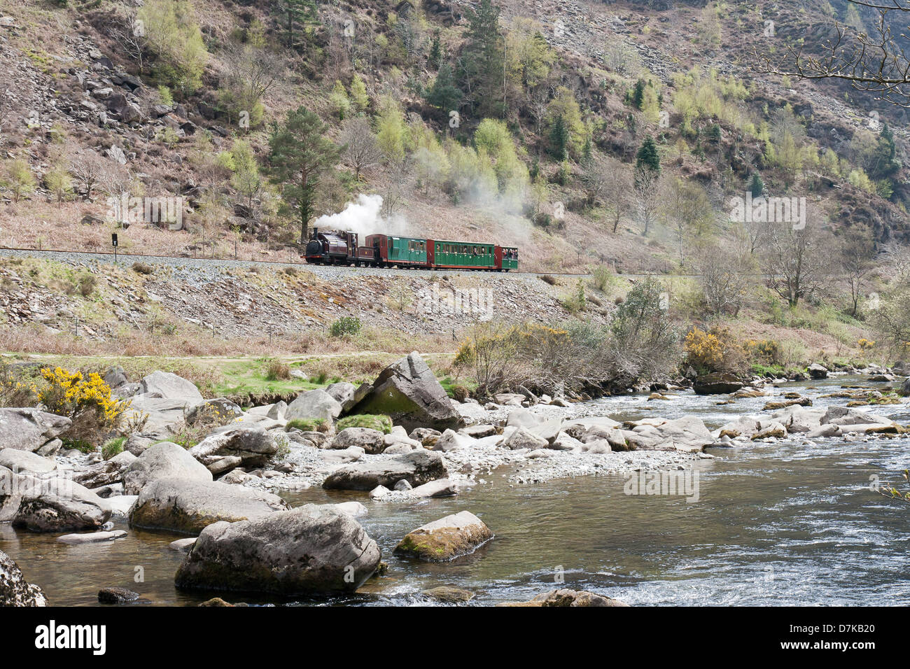 A steam locomotive pulling a passenger train of the Ffestiniog Railway ...