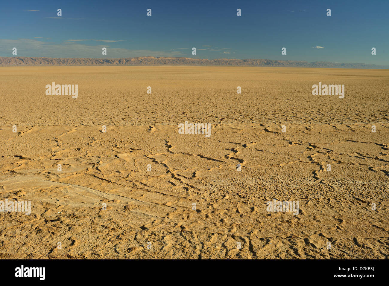 Chott el djerid hi-res stock photography and images - Alamy