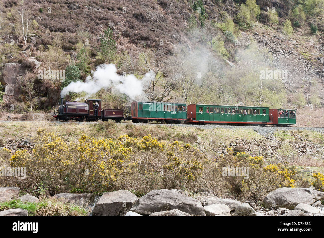 A steam locomotive pulling a passenger train of the Ffestiniog Railway on the Welsh Highland ...