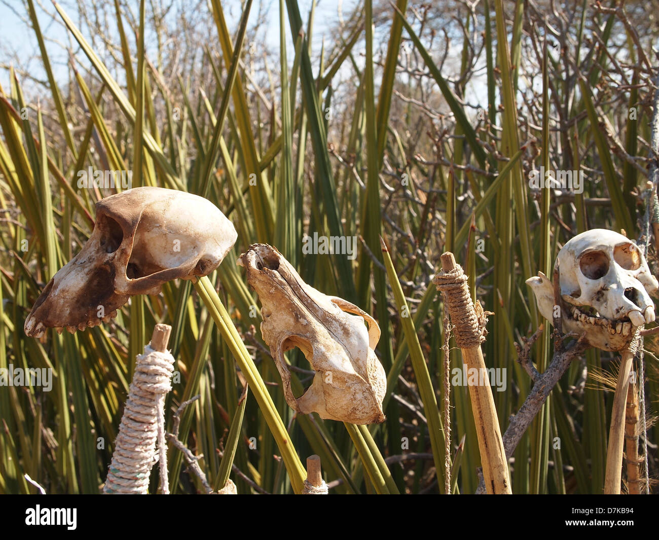Hadza tribe in tanzania hi-res stock photography and images - Alamy