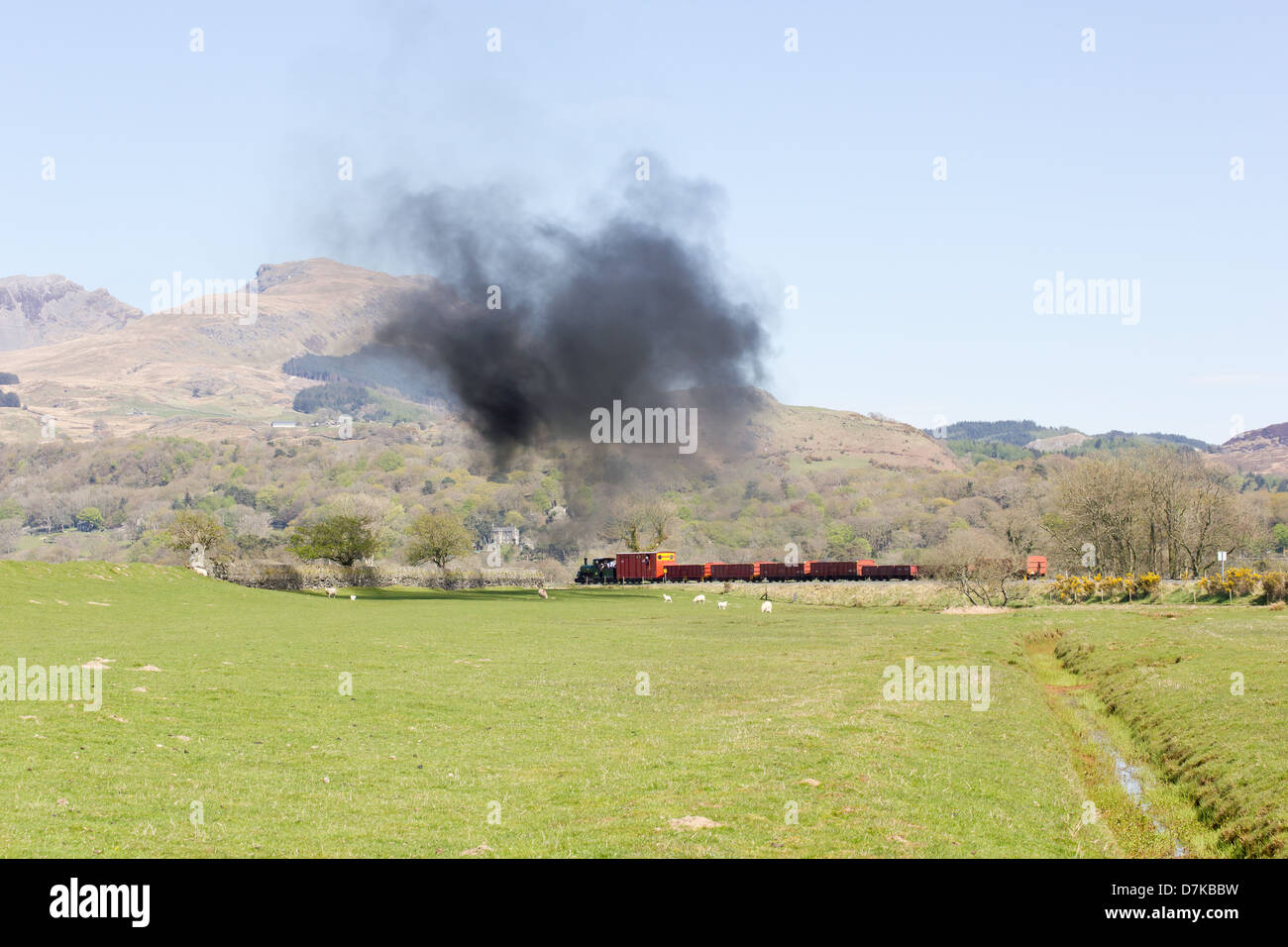 A steam locomotive pulling a freight train on the Welsh Highland Line ...