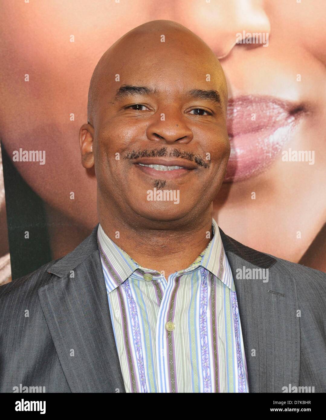 Hollywood, Los Angeles, CA May 8, 2013. David Alan Grier at arrivals ...
