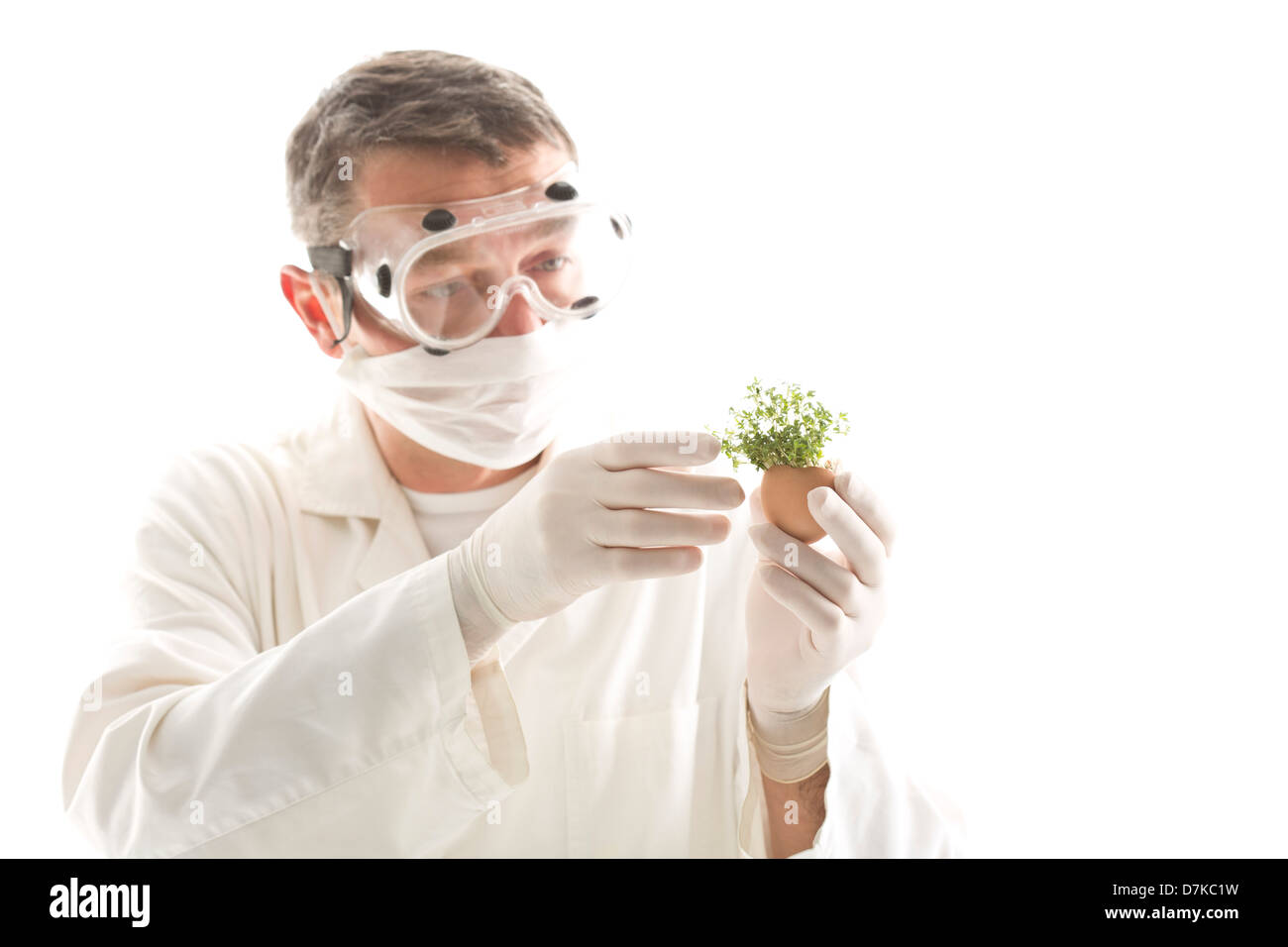 Scientist examining cress in egg shell, close up Stock Photo - Alamy