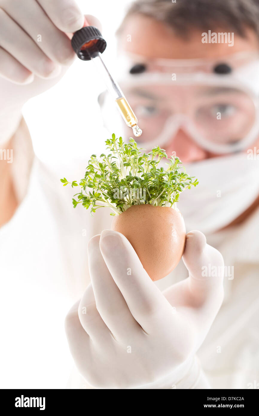 Scientist adding chemical from pipette on cress in egg shell, close up ...