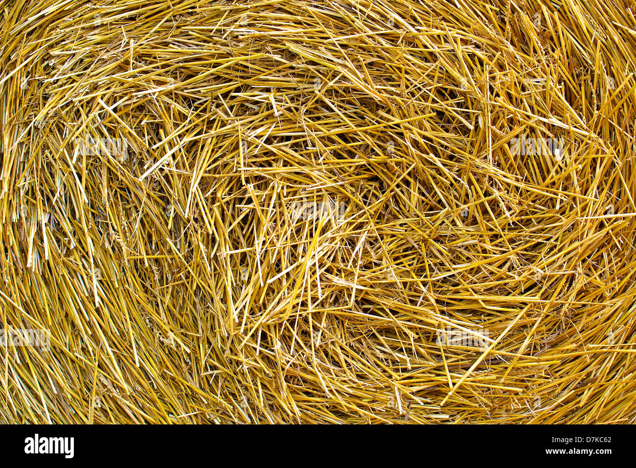 Straw germany hi-res stock photography and images - Alamy