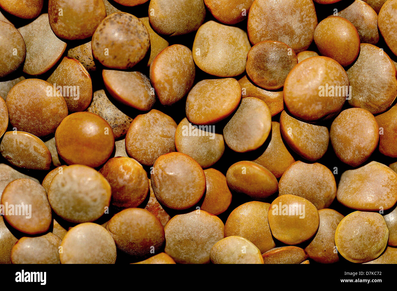 Lentil full frame hi-res stock photography and images - Alamy