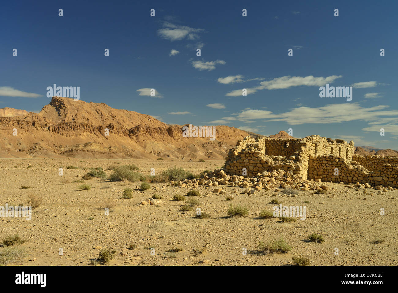 Tozeur oasis hi-res stock photography and images - Alamy