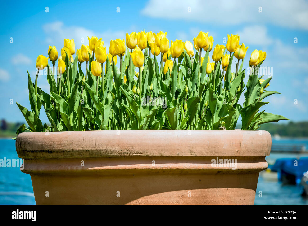 Clay sun hi-res stock photography and images - Alamy