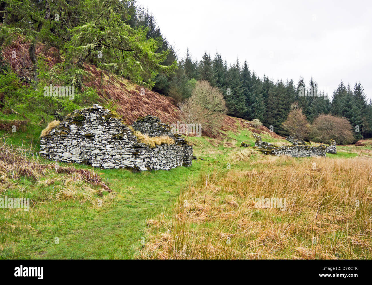 Remaining ruins of Kilmory Oib settlement In Knapdale Forest near the ...