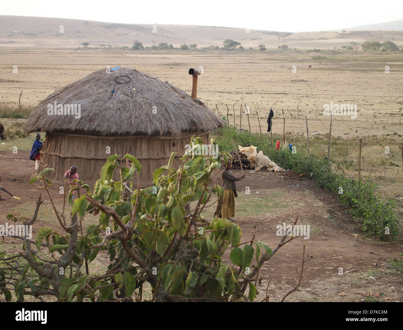 Primitive hut in nature park hi-res stock photography and images - Alamy