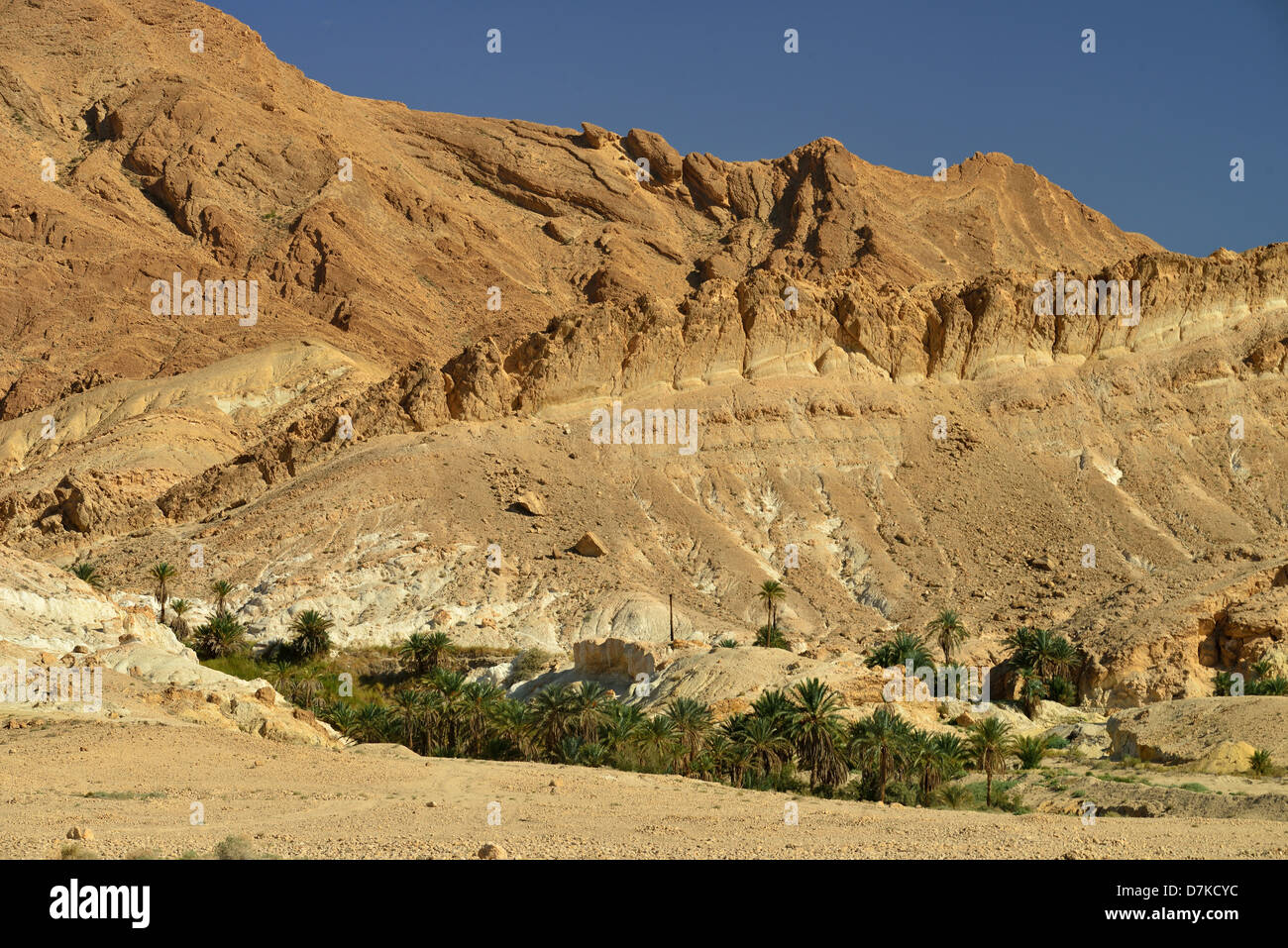 Mountains near the algerian border, where the mountain oases are ...