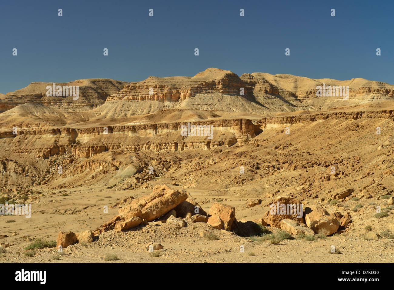 Oasis Tamerza in the Mountains near the algerian border, where the ...
