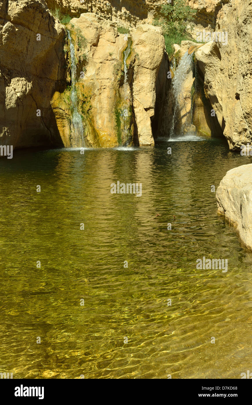 Oasis Tamerza in the Mountains near the algerian border, where the ...