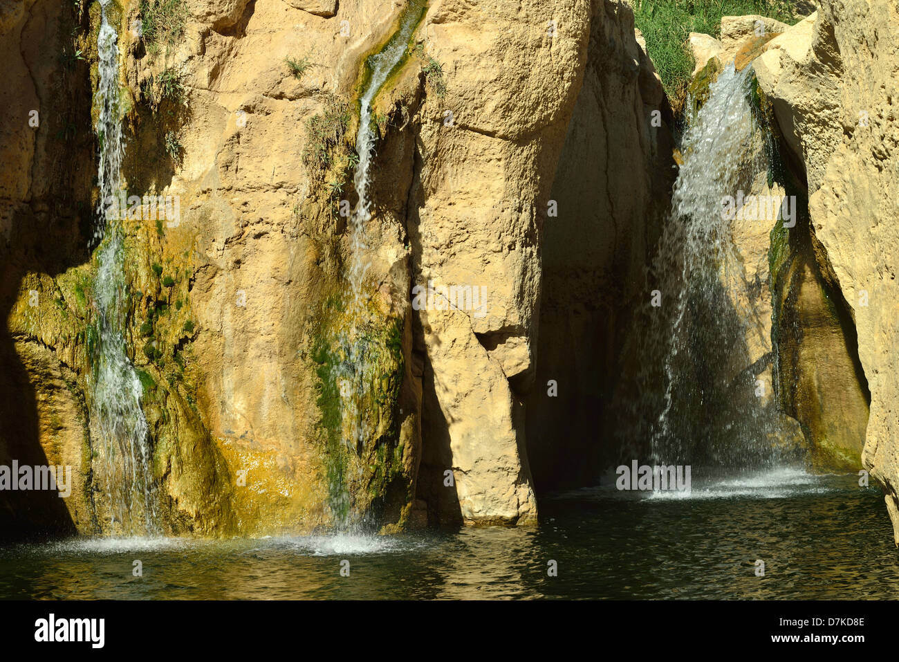 Oasis Tamerza in the Mountains near the algerian border, where the ...
