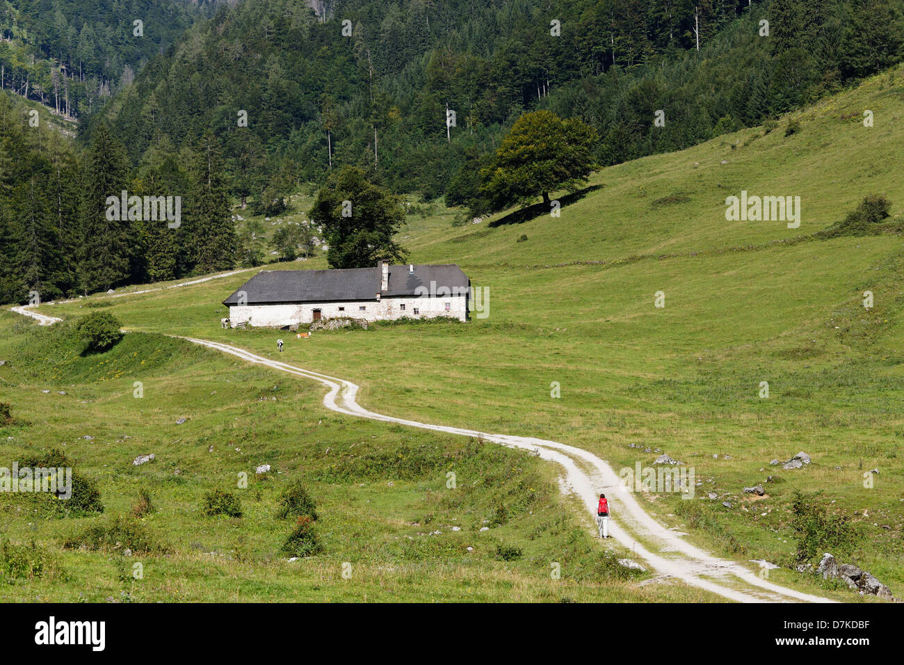Limestone alps national park hi-res stock photography and images - Alamy