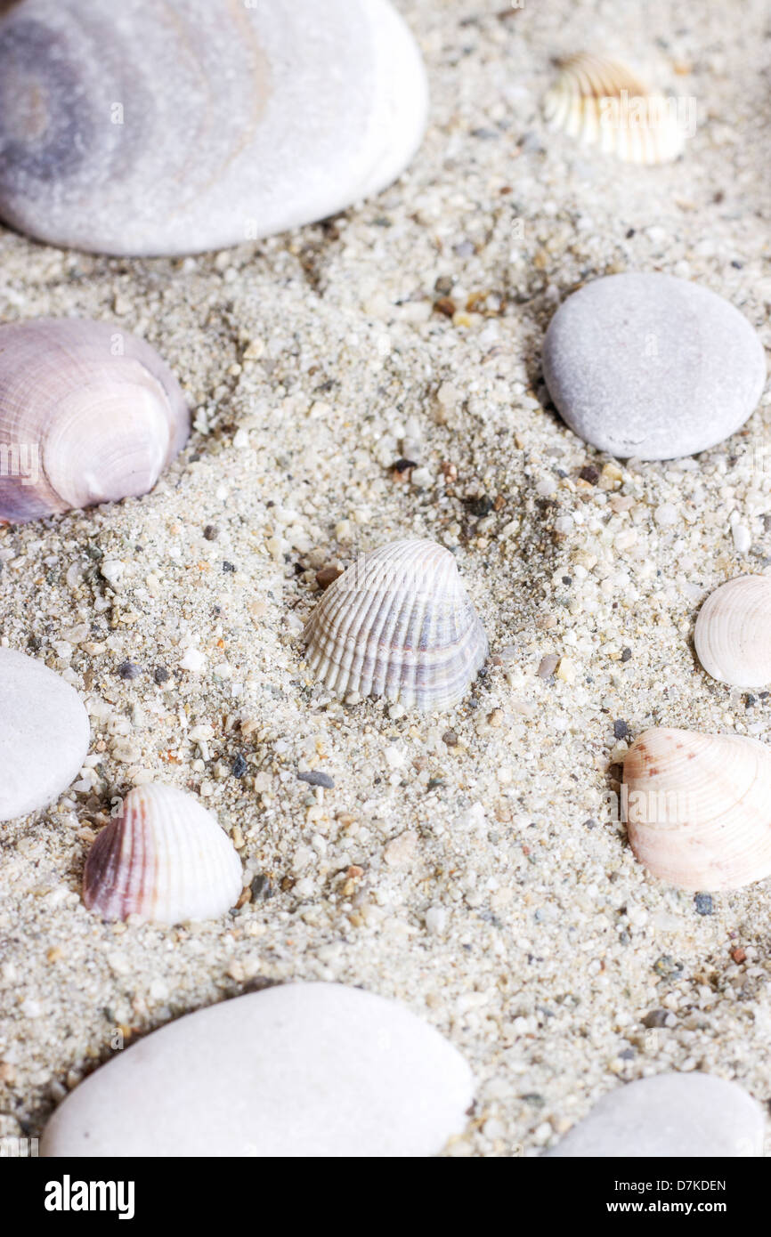 Sand background with shells and stones Stock Photo - Alamy