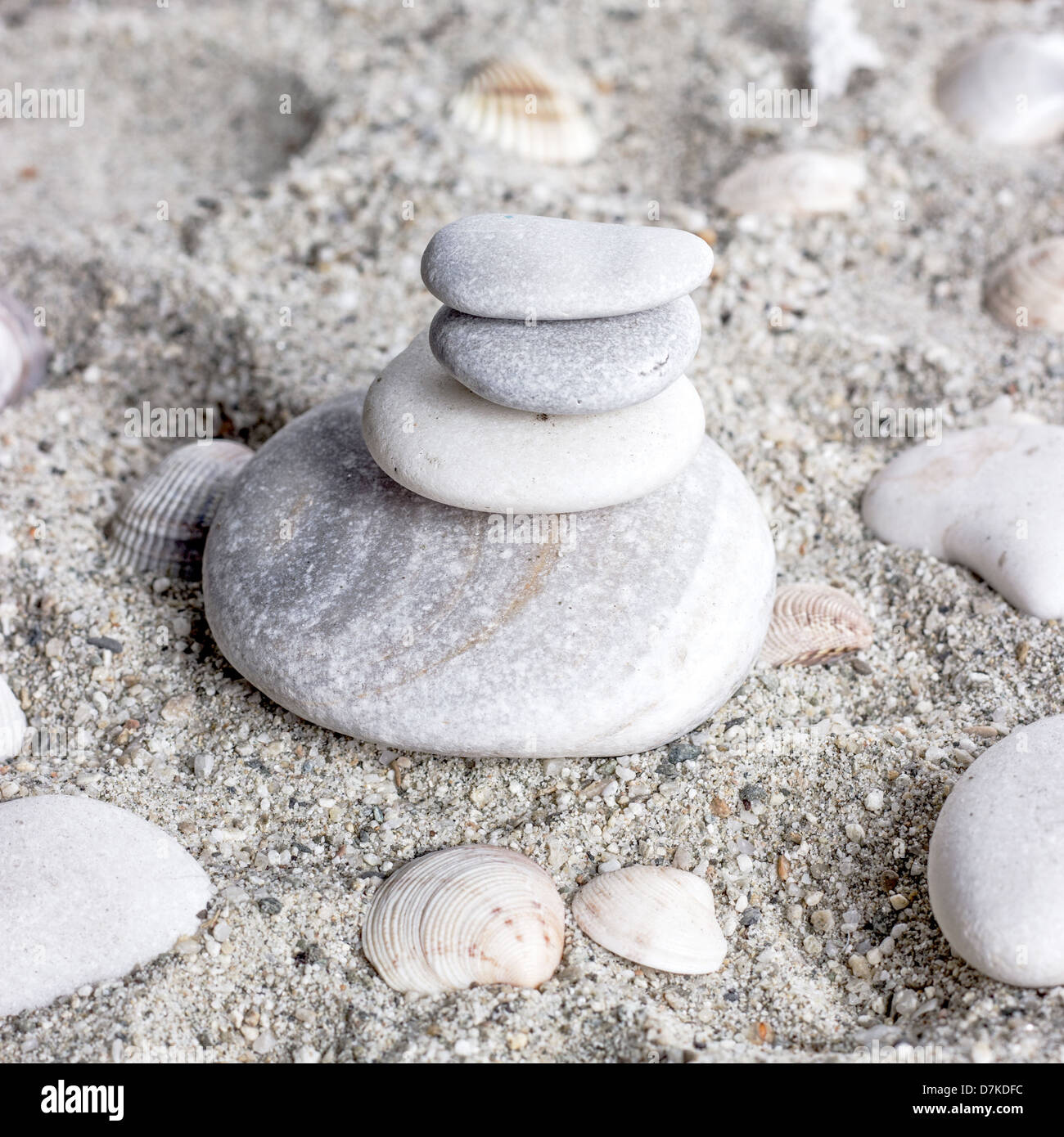 Shell balance hi-res stock photography and images - Alamy
