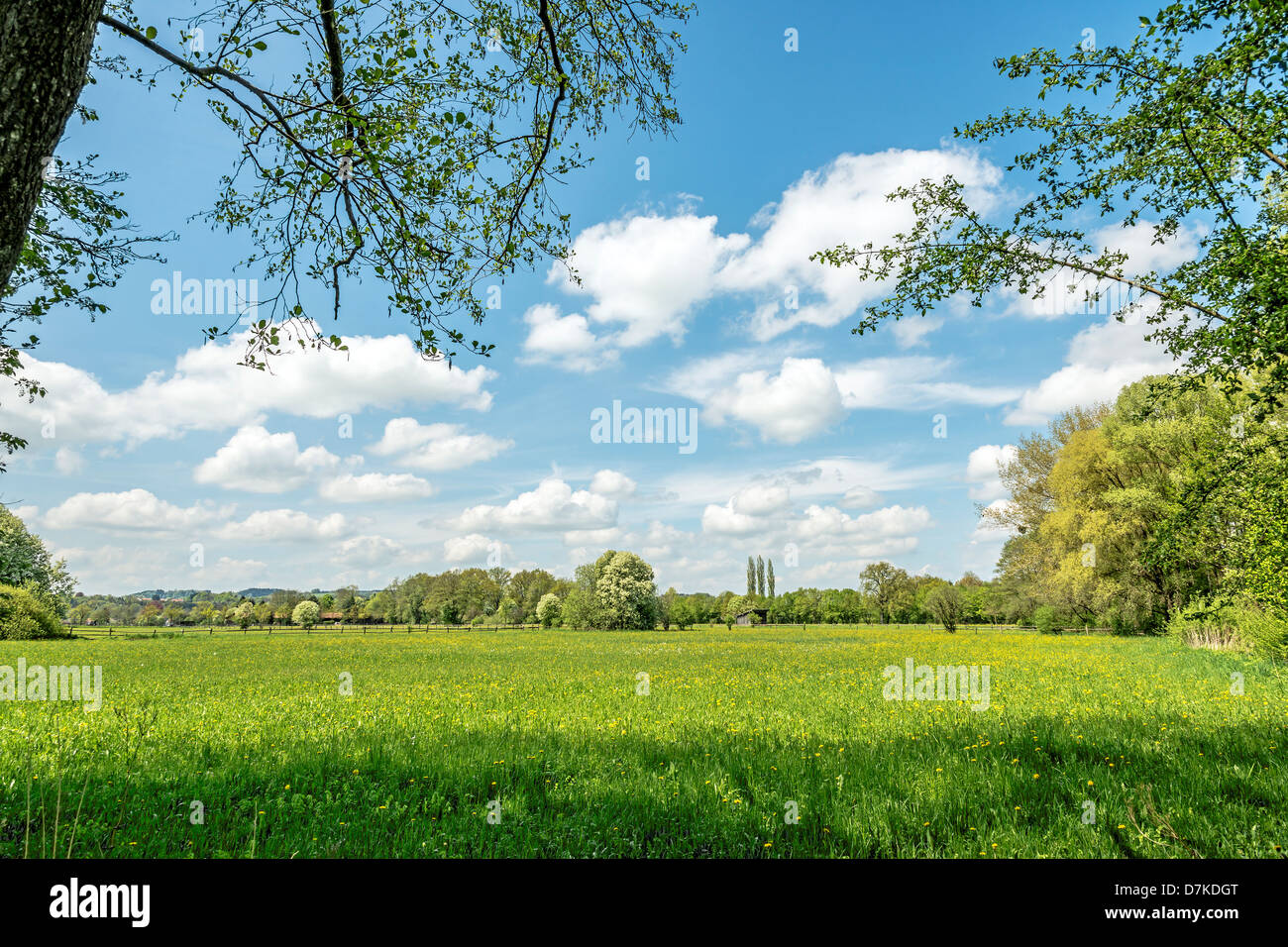 Meadows clouds hi-res stock photography and images - Alamy