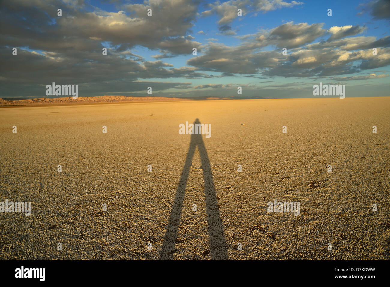 Chott El Djerid at Dawn, South of Tunisia Stock Photo - Alamy