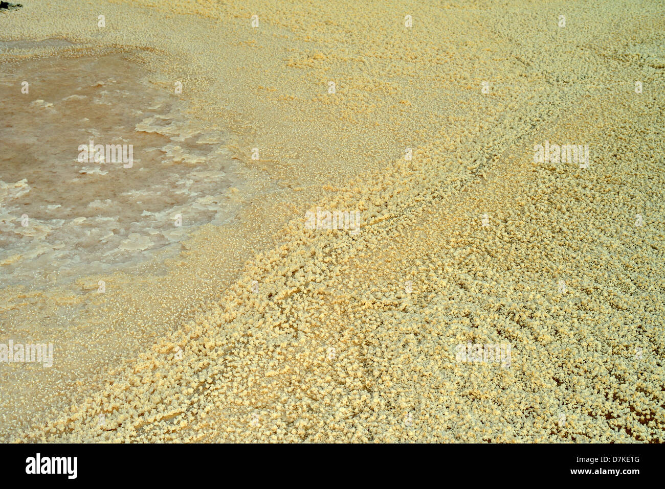 Chott hi-res stock photography and images - Alamy