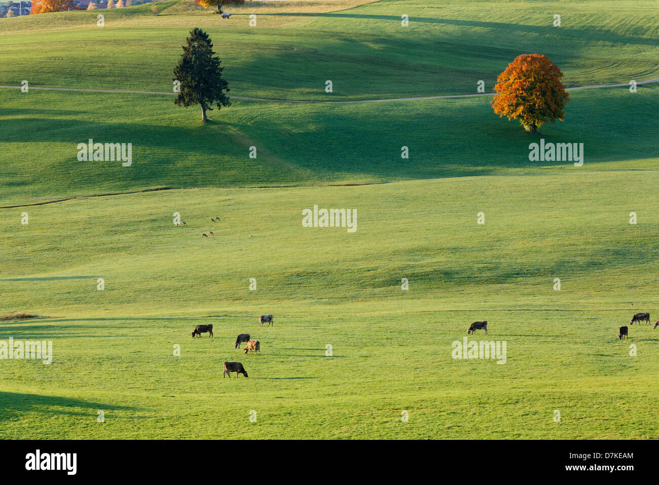 Pasture with a view hi-res stock photography and images - Alamy