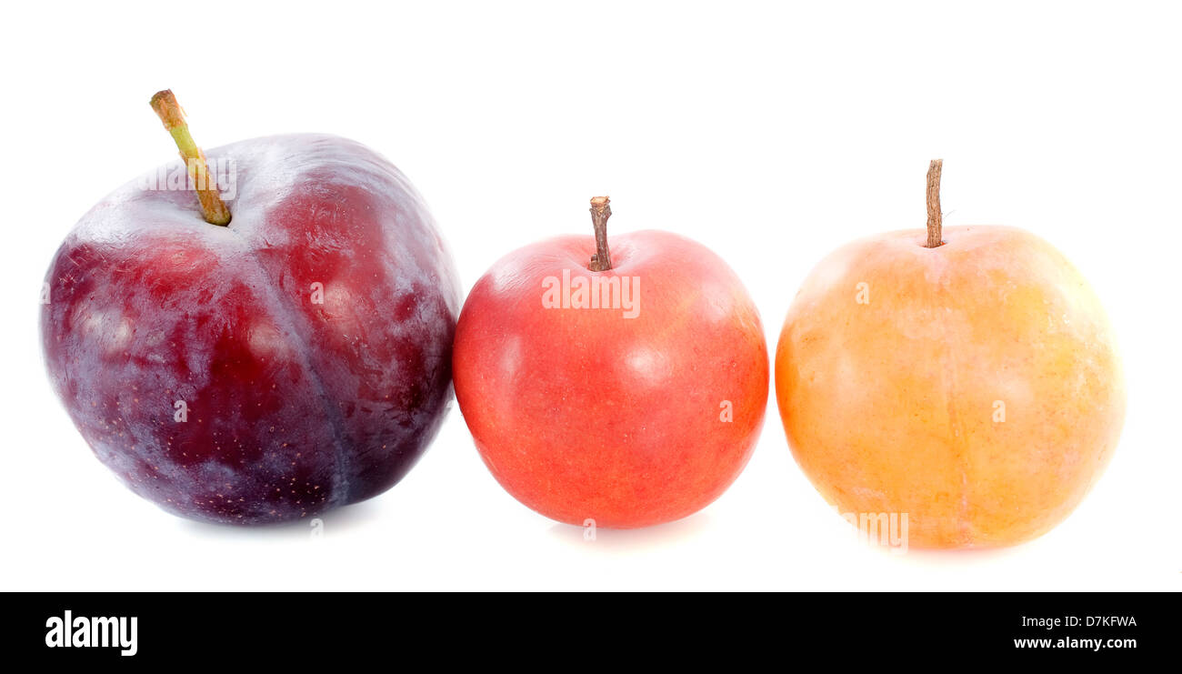 Plum Varieties High Resolution Stock Photography and Images - Alamy