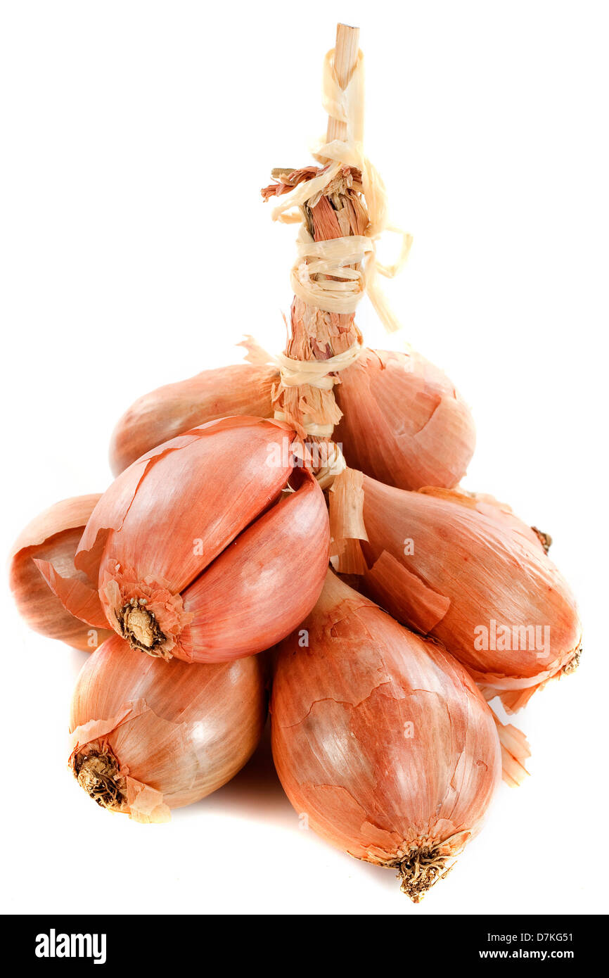 bunch of shallots in front of white background Stock Photo - Alamy