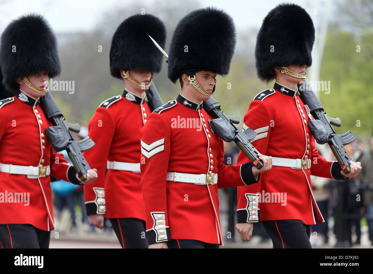 Beefeater Guard Beefeater Guard